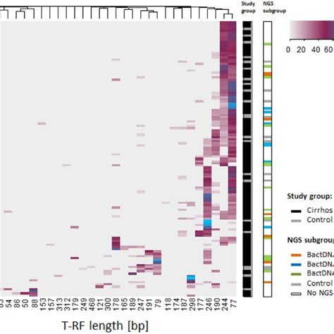 Two Way Cluster Analysis Of Bacterial Dna Bactdna From T Rflp Download Scientific Diagram