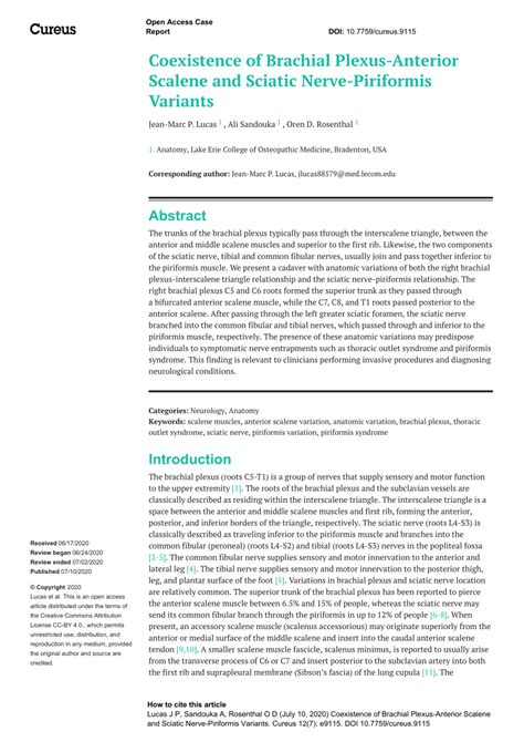 PDF Coexistence Of Brachial Plexus Anterior Scalene And Sciatic Nerve Piriformis Variants