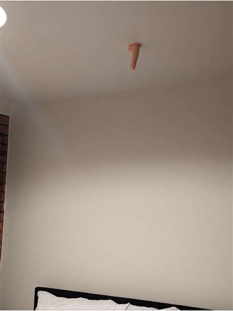 31 Hilarious Photos Of Things That Are A Babe NSFW