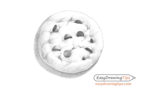 How To Draw A Cookie In 8 Steps Line Drawing Shading EasyDrawingTips