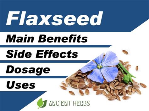 Flaxseed Benefits Uses Dosage And Side Effects
