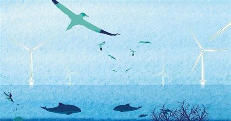 Radar Prevents Offshore Wind Farm Bird And Bat Crashes Commodity Partners