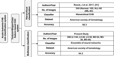 state of art available for the acute leukemia classification download scientific diagram