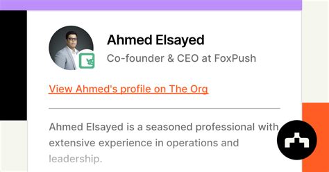 Ahmed Elsayed Co Founder And Ceo At Foxpush The Org