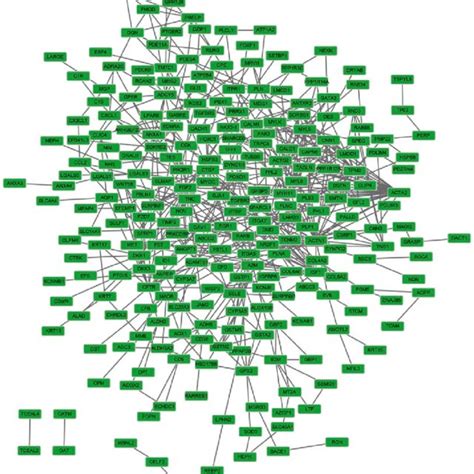List Of The 37 Human Ubiquitin Conjugating Enzymes Download Table