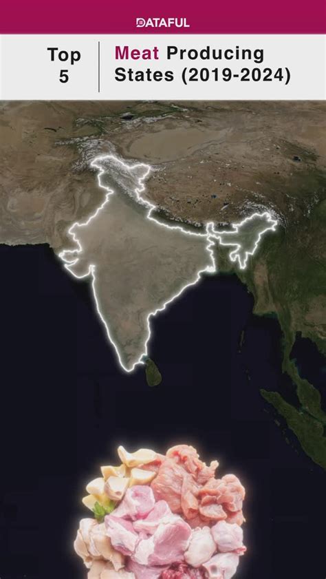dataful here s a caption for your post 🥚 how many eggs do indians