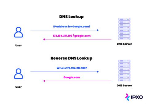 what is reverse dns and what does it do ipxo