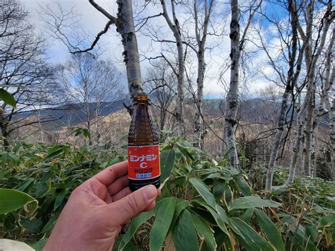 境界線を超えて国境山へ ふじやんさんのトマム山の活動データ Yamap ヤマップ