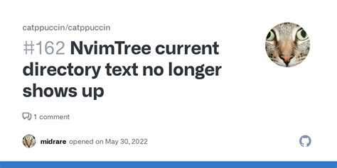 Nvimtree Current Directory Text No Longer Shows Up · Issue 162