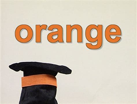 Orange Mikeyminizback Wiki Fandom Orange Mikeyminizback Wiki Fandom