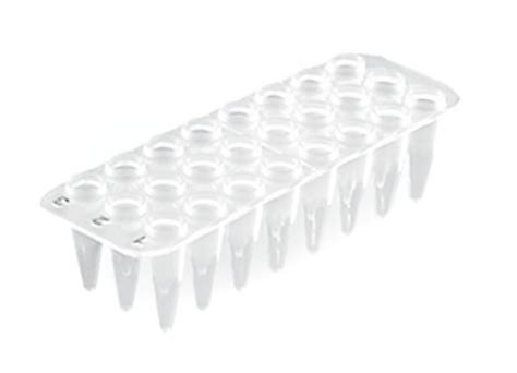 Pcr Plates 24 Well 24 Well Pcr Plates Without Window 24 48 96 Well