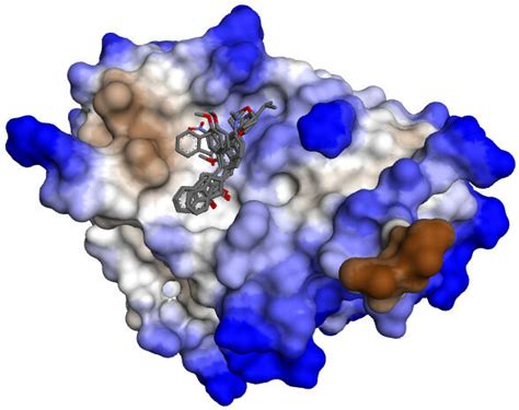 The Binding Conformation Of The Synthesised Compounds 3a 3j