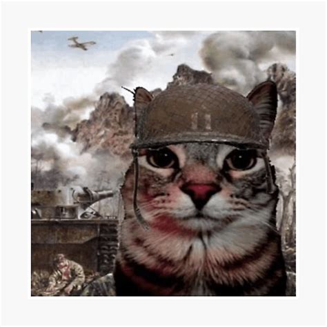 Jager Bomb Cat Memes