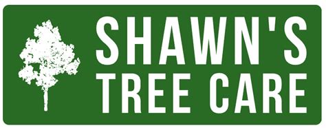 Tree Cabling Static Vs Dynamic Systems Shawns Tree Care