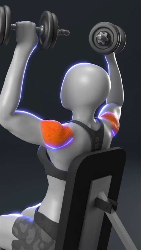 Dumbbell Overhead Press Shoulder Workout Form