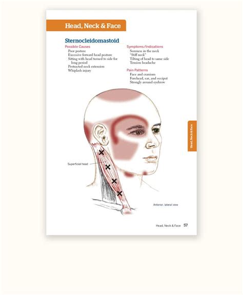 Reference Chart Trigger Points Ponasa
