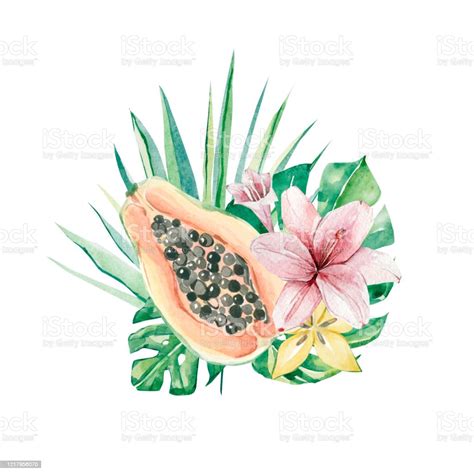 열대 잎과 파파야와 꽃의 수채화 그림입니다 텍스처 포스터 아이들을위한 티셔츠 인쇄 인사말 카드 배너 파티 카드에 대한 열대 여름 모티브와 아라지 정글 꽃 0명에 대한 스톡