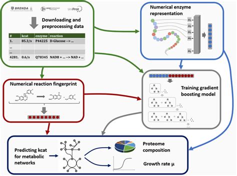 人工智能预测酶的反应速率 知乎