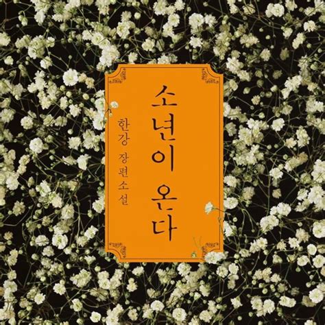 소년이 온다 줄거리 내용 해석다양한 관점에서