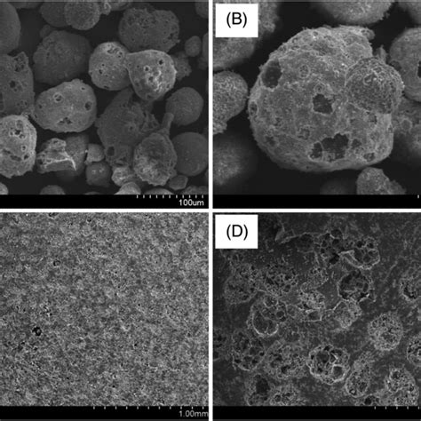 Sem Micrographs Of A Eg‐s Particles B Eg‐l Particles C Egs