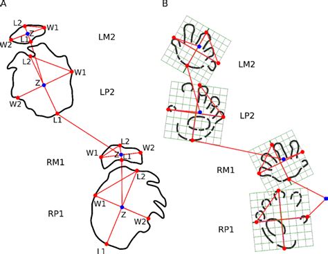 Sequential 2d Coordinates Five Per Footprint Extracted Using Inkscape Download Scientific