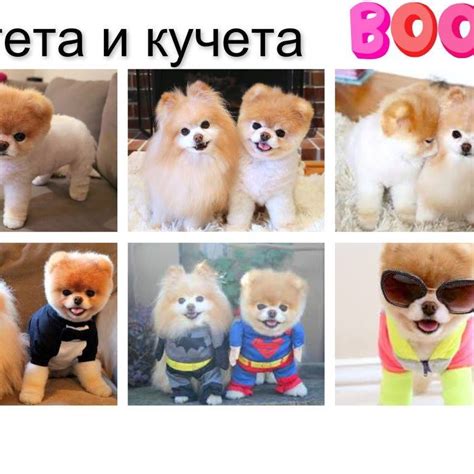 Дисни Момичета Някога чувалилисте песента на Сиси Кеч хотела на разбитите сърца Тя е юбимата