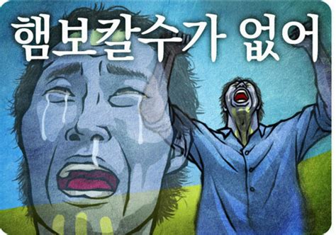 유감 짤과 움짤 모음 짤봇