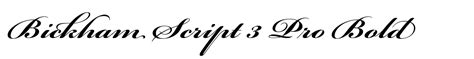 Bickham Script 3 Font Webfont And Desktop Myfonts