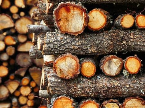 How To Choose Levels Of Logging Webscales Engineering Education