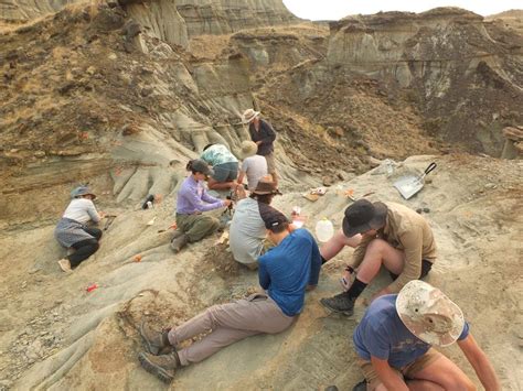 Fossil Reveals Cretaceous Drama Of A Croc Attack On A Flying Reptile