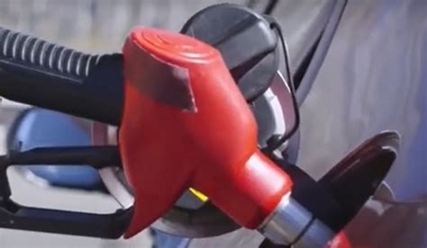 Miguel Daoud Preço Do Combustível No Brasil Não Pode Ser O Mesmo Da Europa