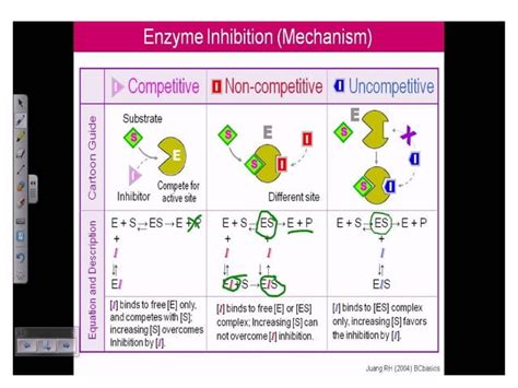 Enzyme Classifications And Structurepptx Ppt
