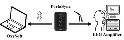 Multimodal Fnirs Eeg Measurements — Staying In Sync — Artinis Medical