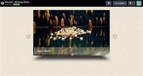 10 simple image slider html css javascript examples