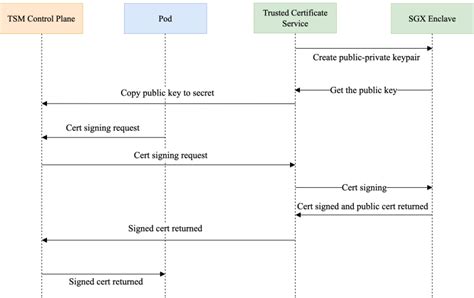 Tanzu Service Mesh Security Enhancements Using Confidential Computing Network And Security