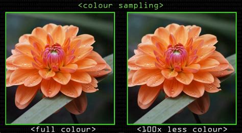 Fascinating Look At Whats Really Going On Inside A Jpeg Color