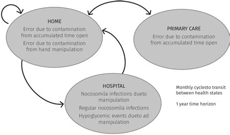Conceptual Scheme Of The Model With Transitions Download Scientific Diagram