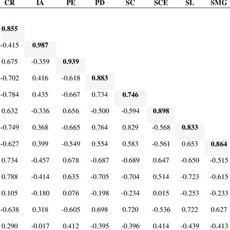 Modified Measurement Model Download Scientific Diagram