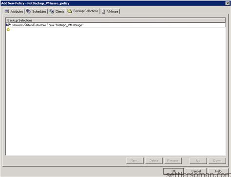 How To Configure NetBackup Policy To Backup VMware VMs Settlersoman A Settler In The SDDC World