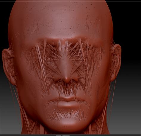 Can Someone Help Me What Are These Weird Lines On My Model And How Can I Get Rid Of Them R