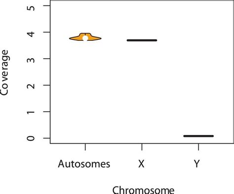 Coverage On Sex Chromosomes And Autosomes Average Coverage By Shotgun