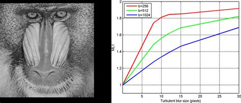 The Ml1 Regularization Losses On Different Sizes Of An Image With Rich