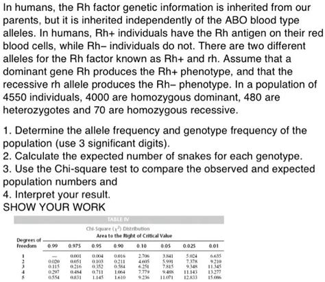 SOLVED In Humans The Rh Factor Genetic Information Is Inherited From Our Parents But It Is