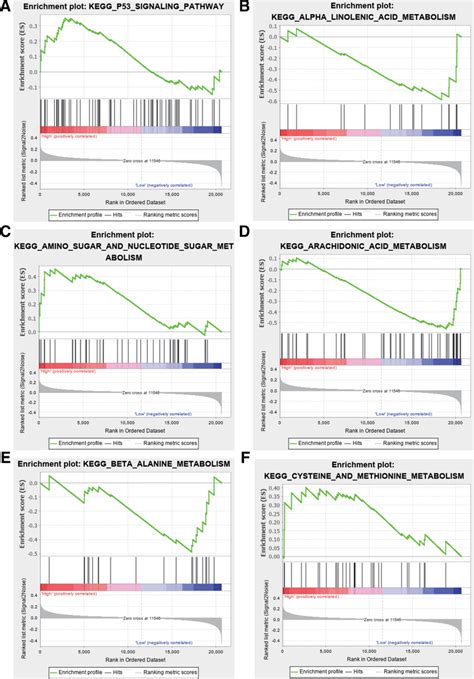 Kegg Enrichment Analysis For The Oscc A P53 Signaling Pathway B Download Scientific