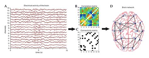 Illustration Of The Process Of Extracting The Brain Network Graph A