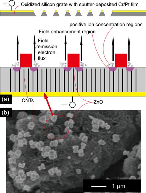 a device schematics b sem micrograph of the device surface