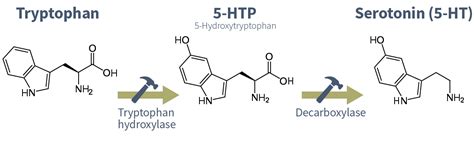 Eat Yourself Happy Sapiensoup Blog