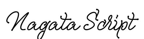 Nagata Script Font FFonts Net