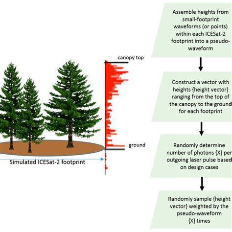 Flow Chart Illustrating How The Small Footprint Lidar Data Are Combined Download Scientific