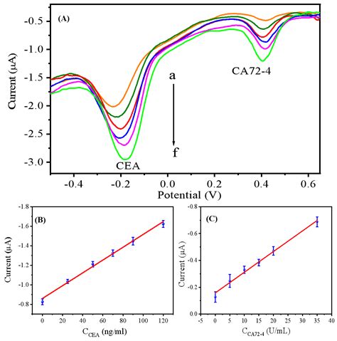 A Dual Nano Signal Probe Based Electrochemical Immunosensor For The Simultaneous Detection Of